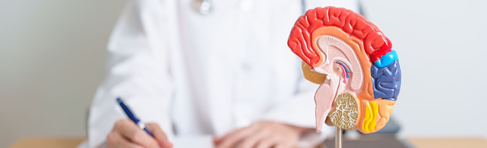 Mercy Fitzgerald Brain & Spine Care | Trinity Health Mid-Atlantic